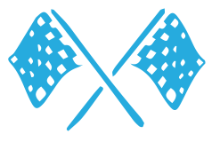 PP Flags - Polished Protection